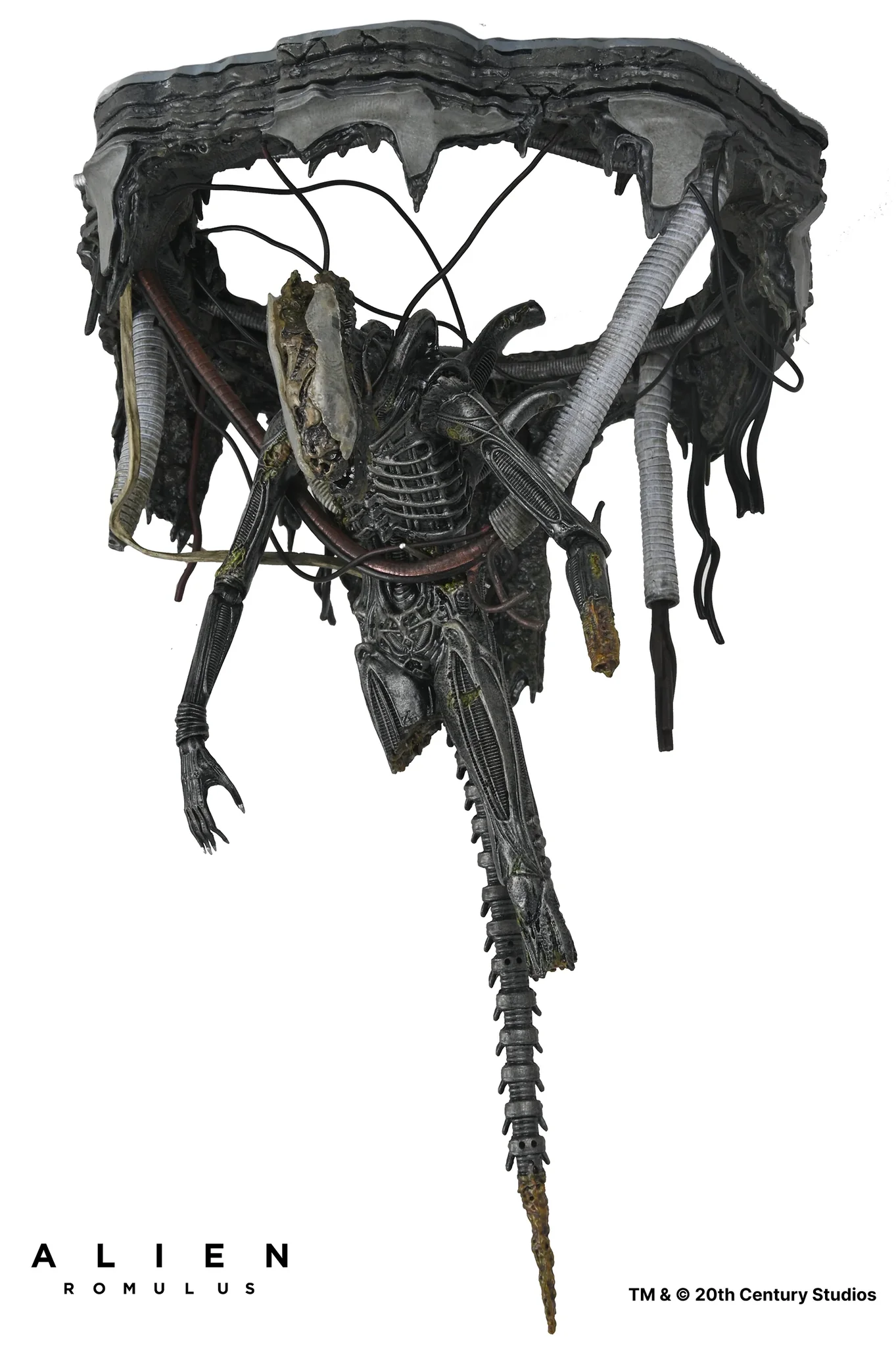 Alien: Romulus Deluxe Suspended Lab Xenomorph XX121 7" Scale Action ...