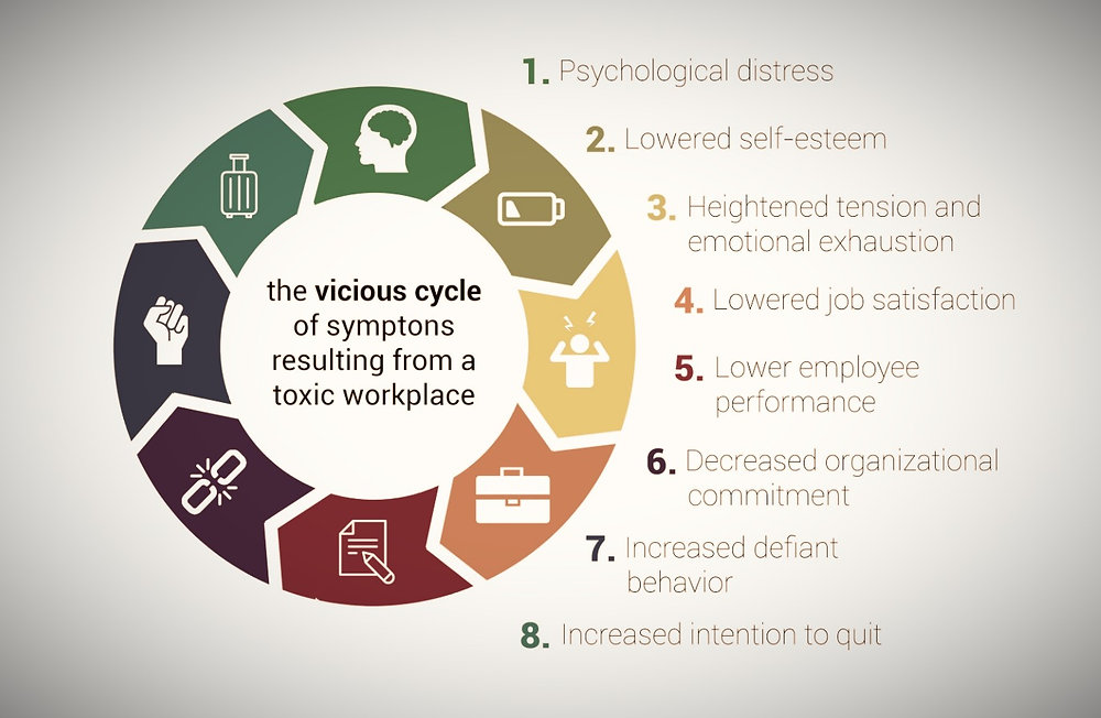 What is Workplace toxicity?
