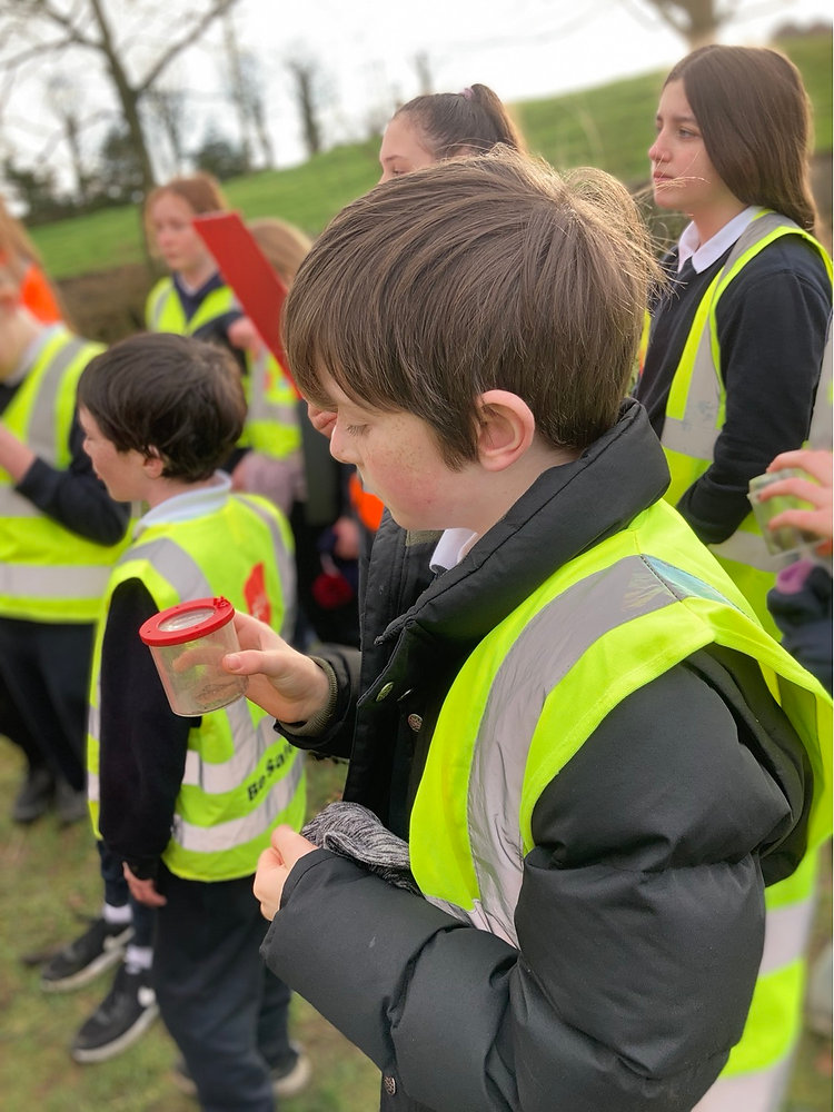 Biodiversity in Straide N.S.