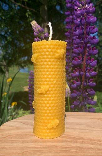 Honeycomb with Bees | Honey By Ian