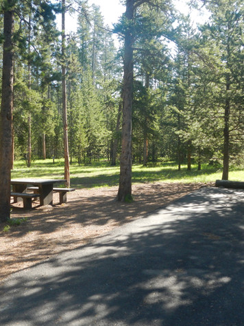 Madison Campground, Yellowstone | Yellowstone Explored