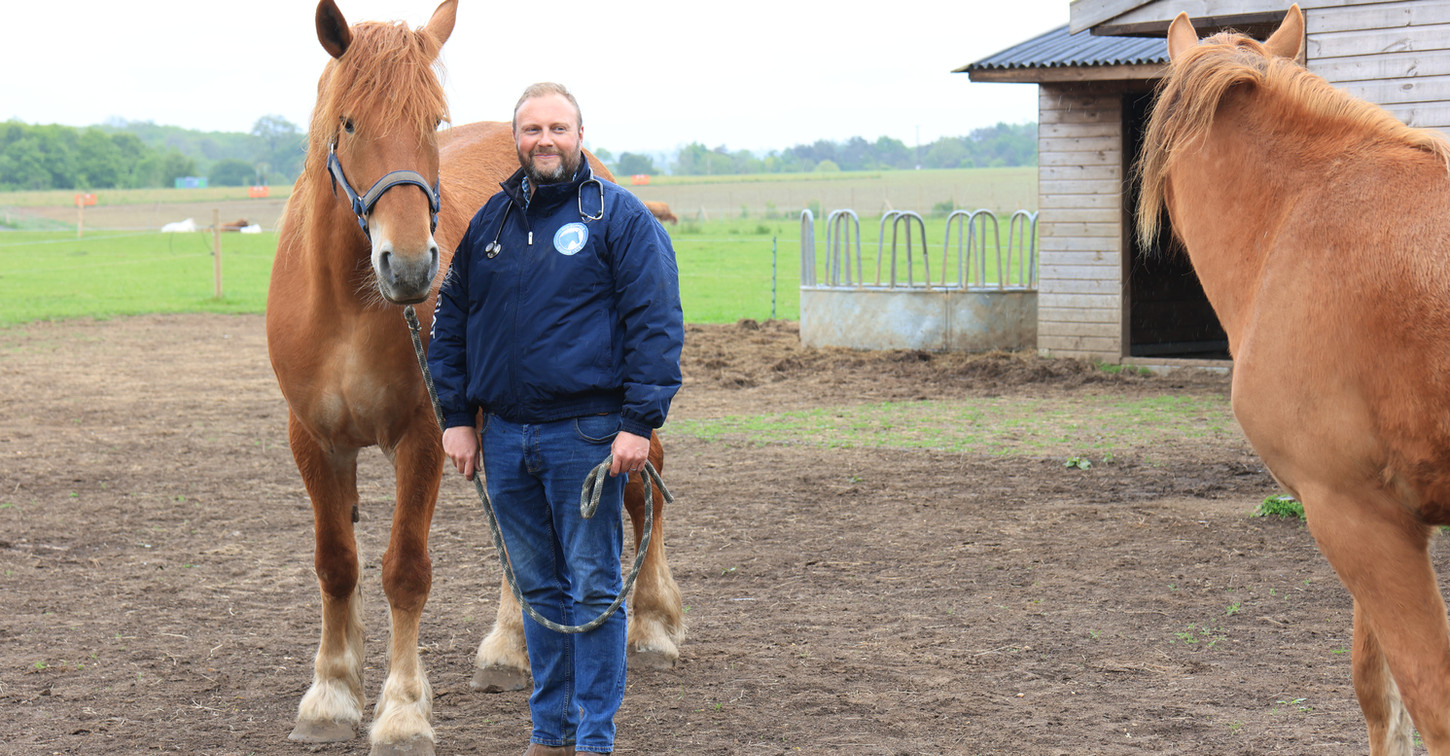 Mid-Suffolk Equine Vets | vets | Bosmere, Ipswich, UK