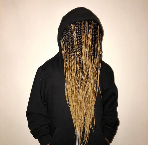 Nico Braids | hallspassovgallery