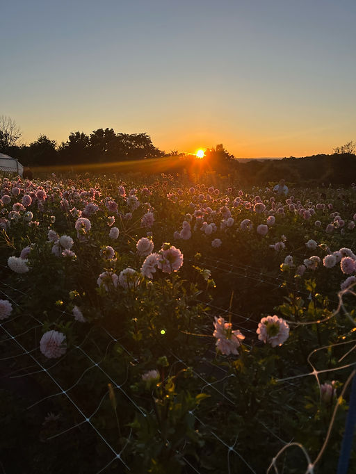 Events | Sunset View Farm, Andover NJ