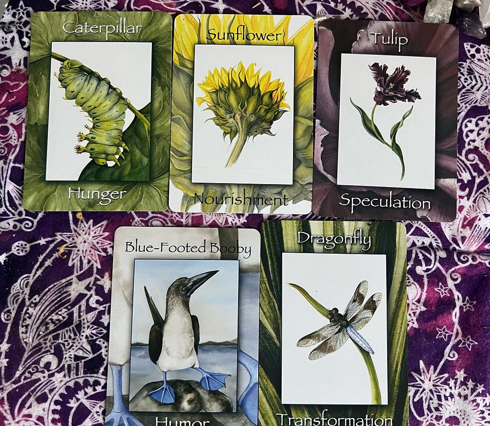 Mini Oracle Reading For The Week Of 5/20 - 5/26 (Tossed by Megan H.)