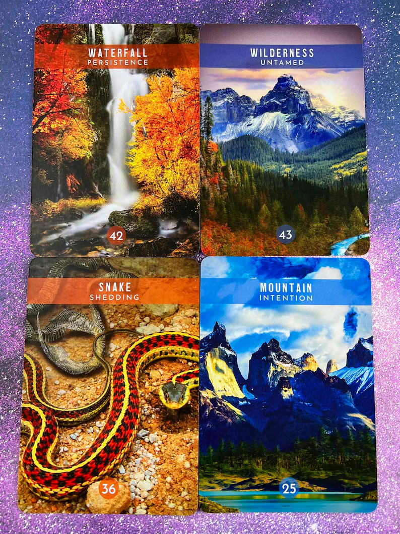 Messages from the Spirits of Nature Oracle: A 44-Card Deck and ...