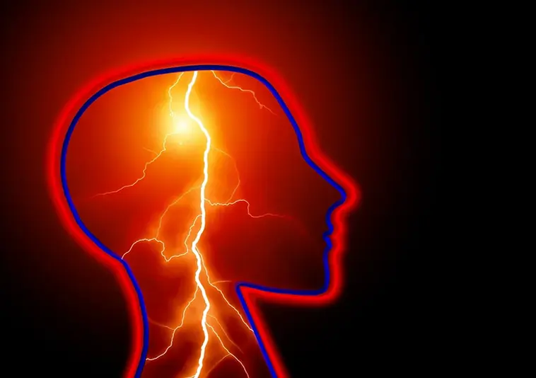 Sands Laboratory | Translational Research in Neurodevelopmental Disease