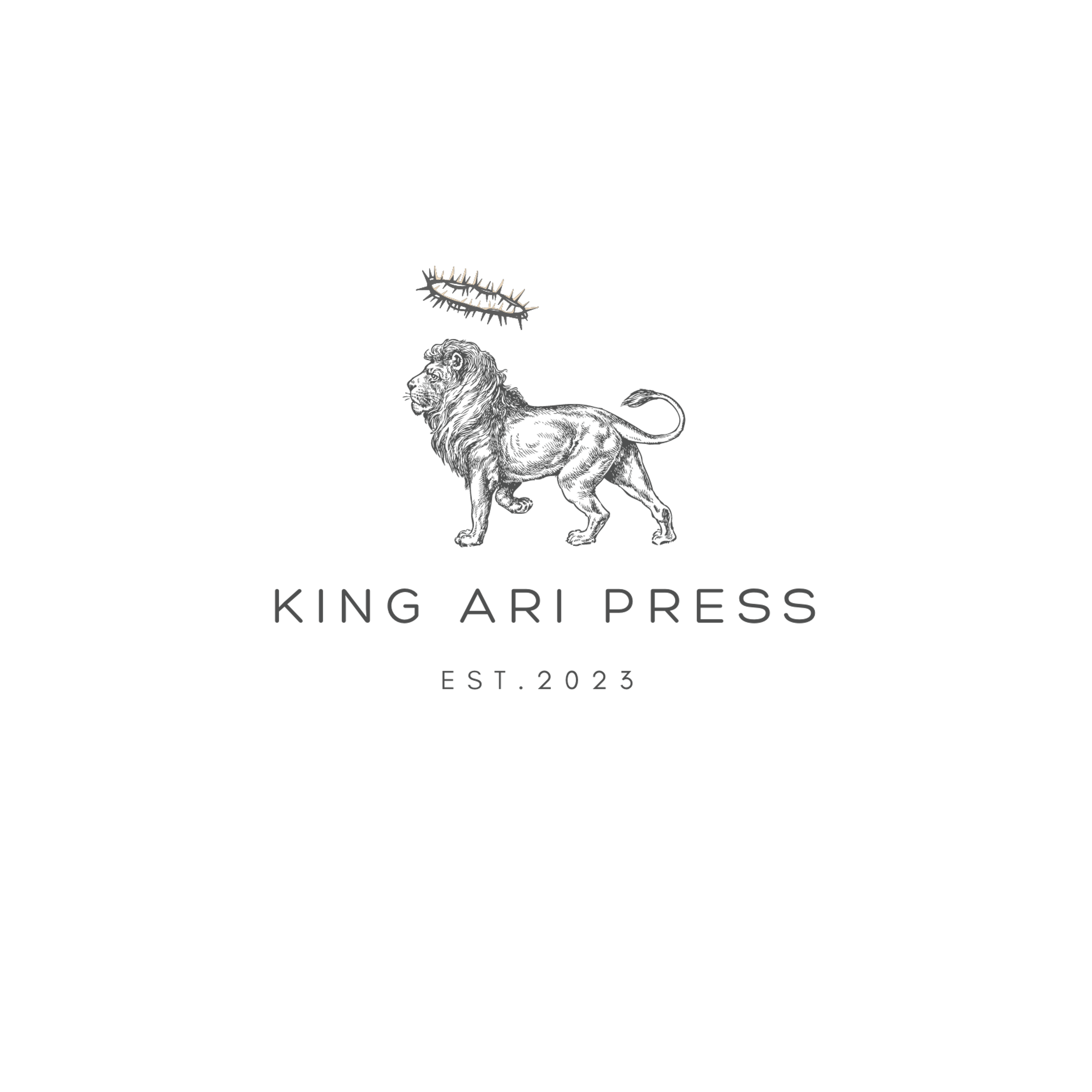 King Ari Press | small indie publisher
