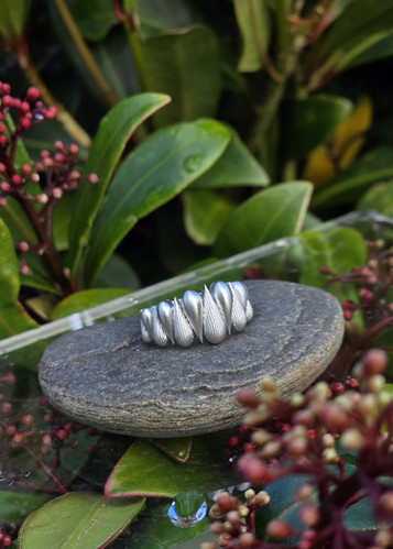 Rings | Vera McCullough