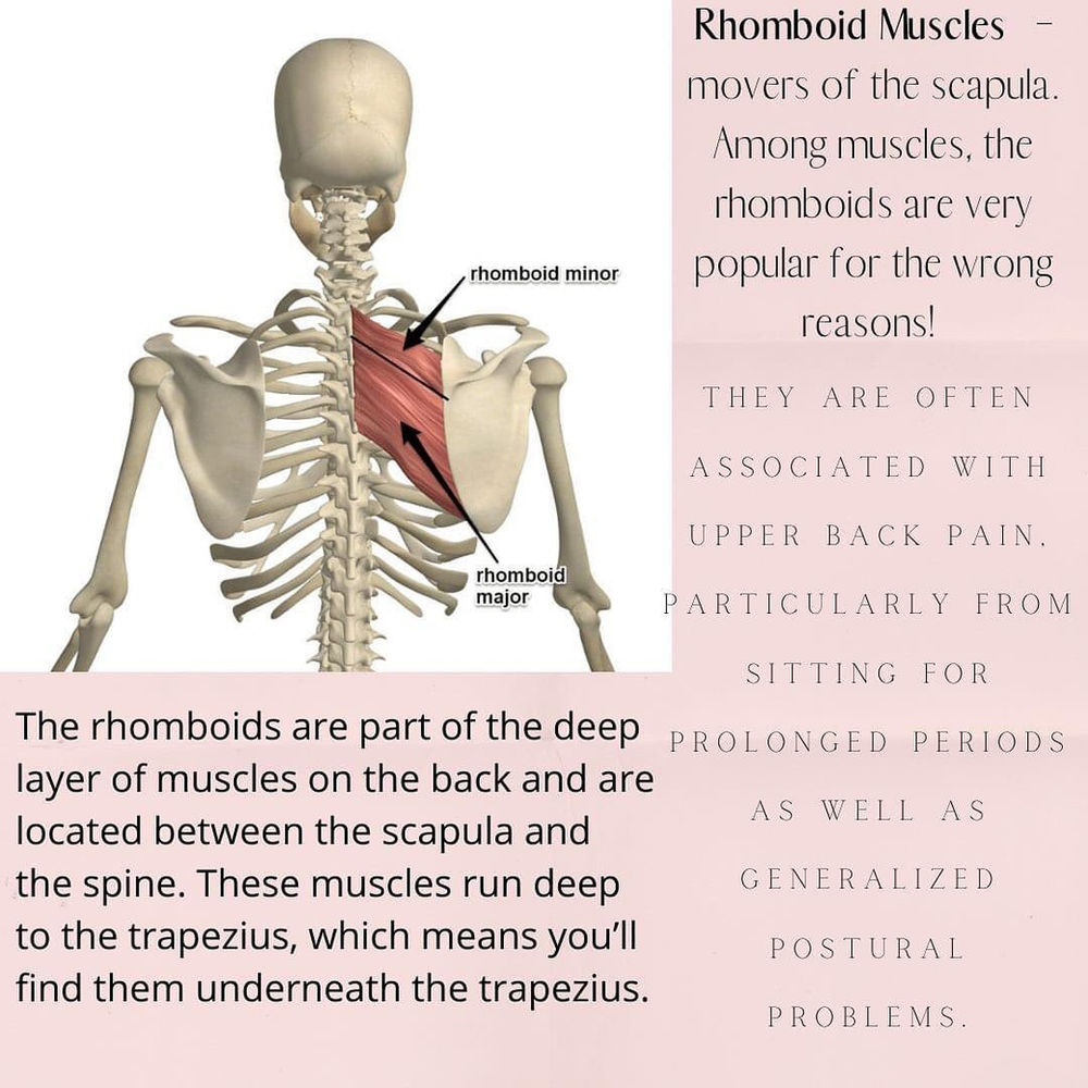 Releasing Pain & Tension In The Rhomboid Muscles (the shoulder mover ...