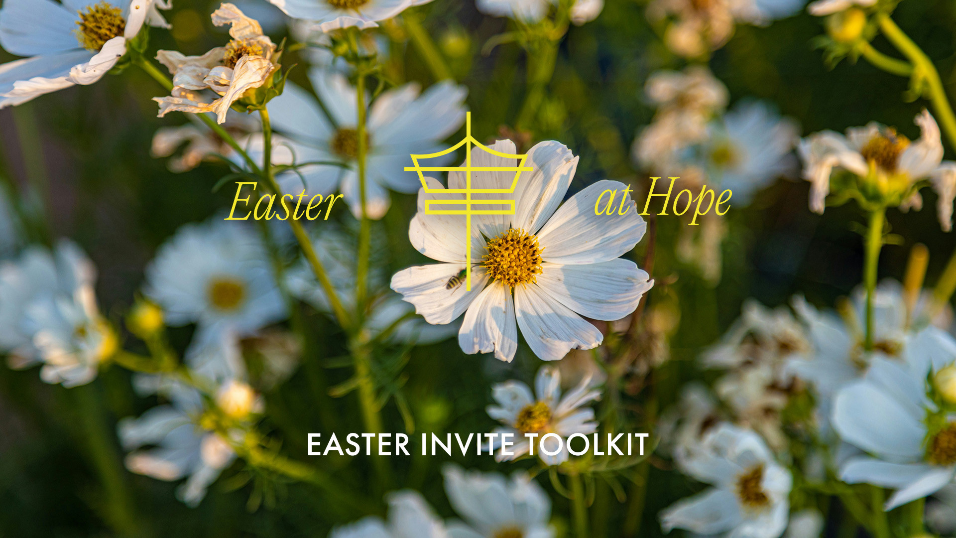 Easter Invite Toolkit | Hope Community