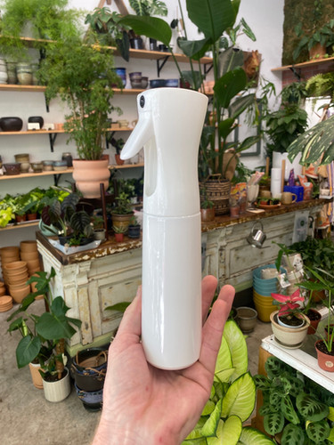 White continuous Mister | Leafandvine