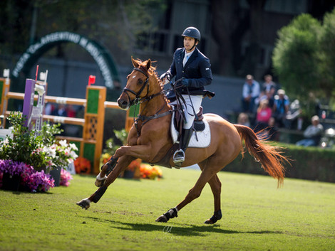 Pessoa Saddles | Pessoa Saddles UK | England