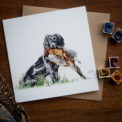 Rural Artist | Steph Burch Fine Art