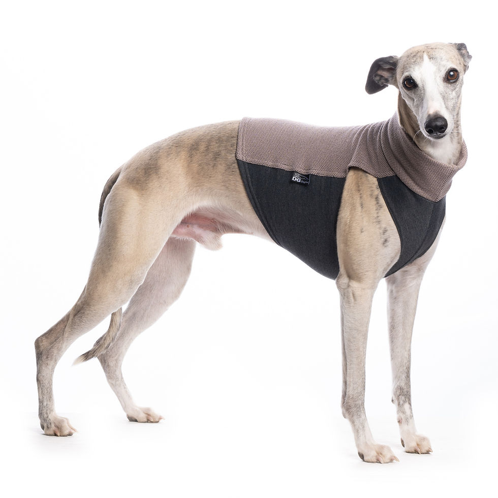 Dog Feeding Stand and Bowls | Greyhound Lurcher Whippet Raised Station