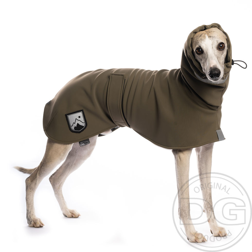 Dog Feeding Stand and Bowls | Greyhound Lurcher Whippet Raised Station