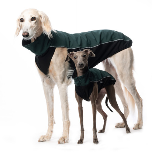 Whippet Lurcher Greyhound Jacket | Sighthound Coat in Green