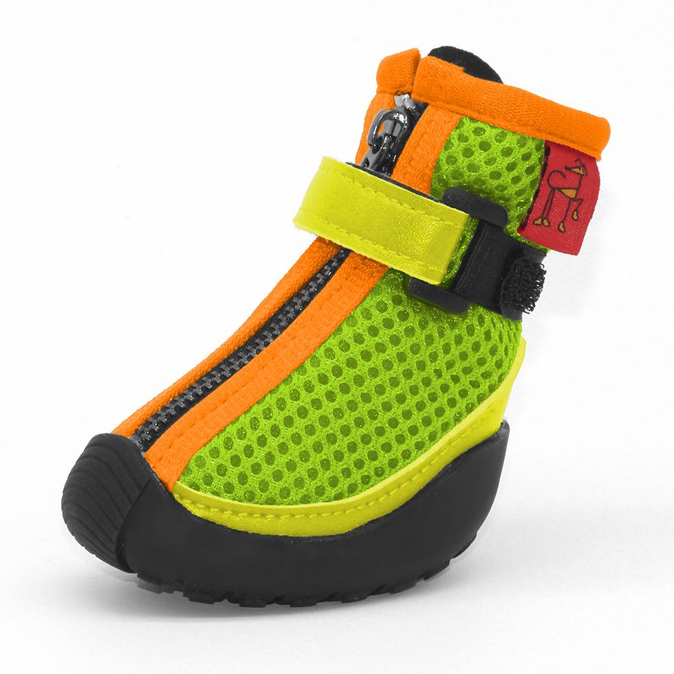 Greyhound Whippet Italian Greyhound Boots | Hunnyboots | Pointy Faces