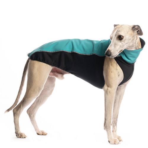 Whippet Lurcher Greyhound Jacket | Sighthound Coat in Blue | DG Dog Gear