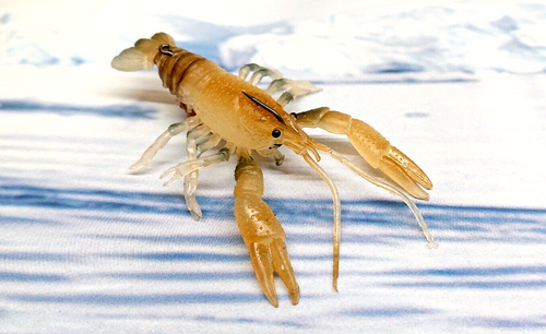 Crayfish Fishing Lure Soft Bait Jig 63mm 13g Weedless Hook Setup ...