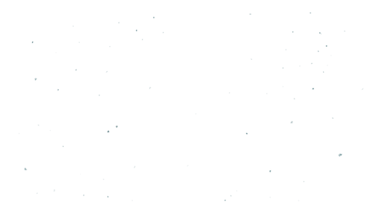 CALENDAR | Homer Hops Brewing