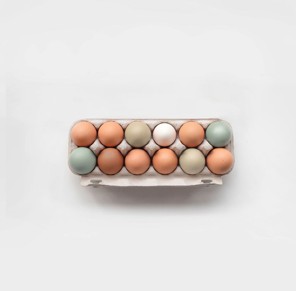 All Products | OtorohangaKiwiHouse