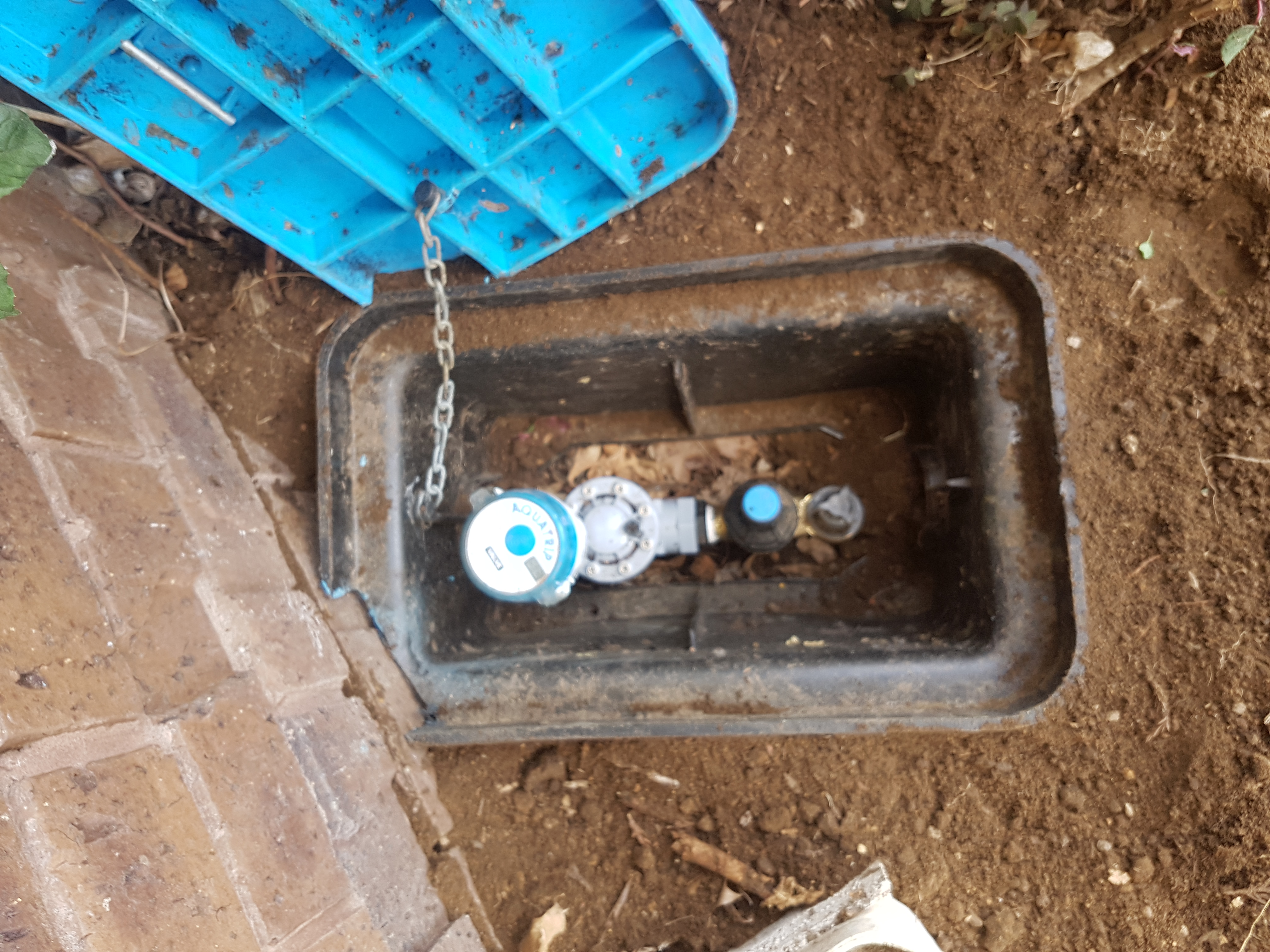 GALLERY | aquatripnz