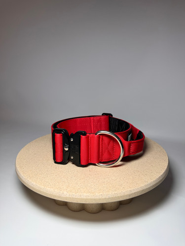 Alpha Line Collar - Ruby Red | Wulfz & Co.