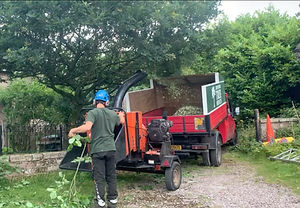 Home | J. M Tree services