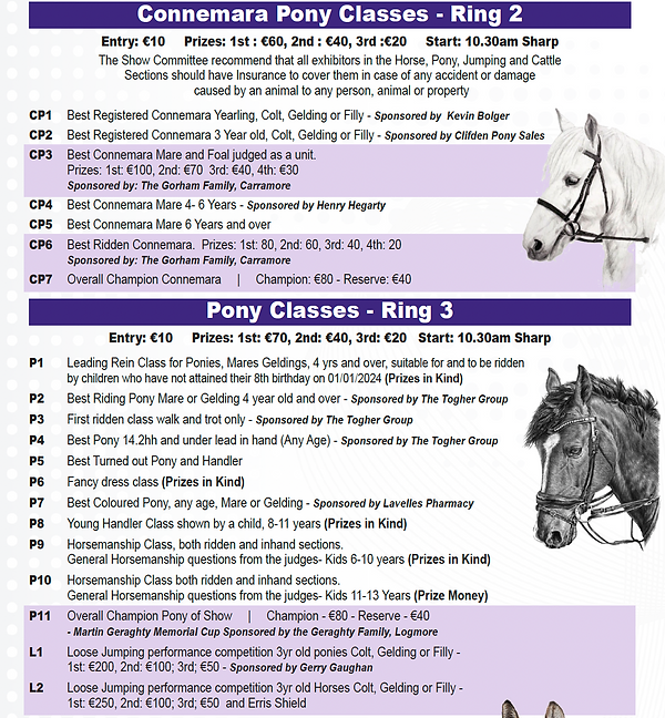 Horse & Pony Classes | Erris Show