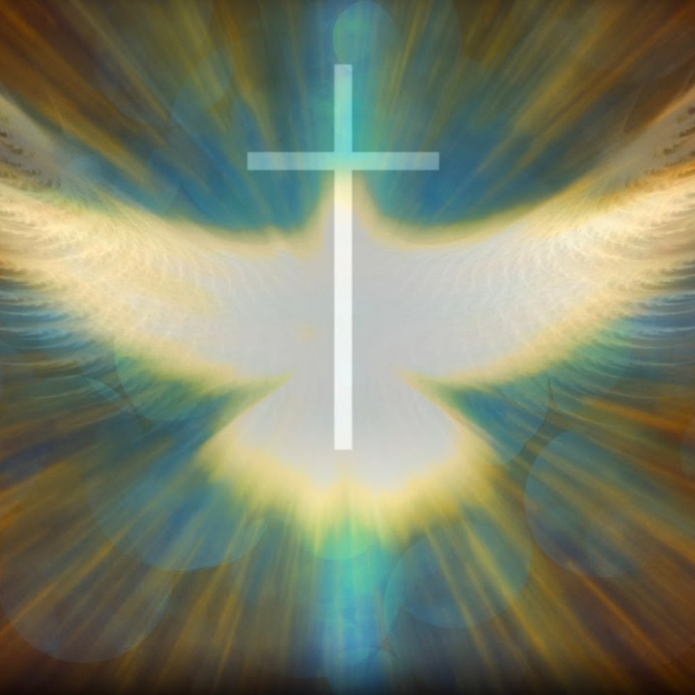 Holy Spirit Received by Victim Souls -Become Living Hosts
