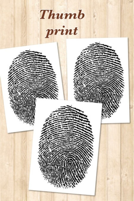 Home | Sri Agasthiya Mahashiva Naadi Jothidam