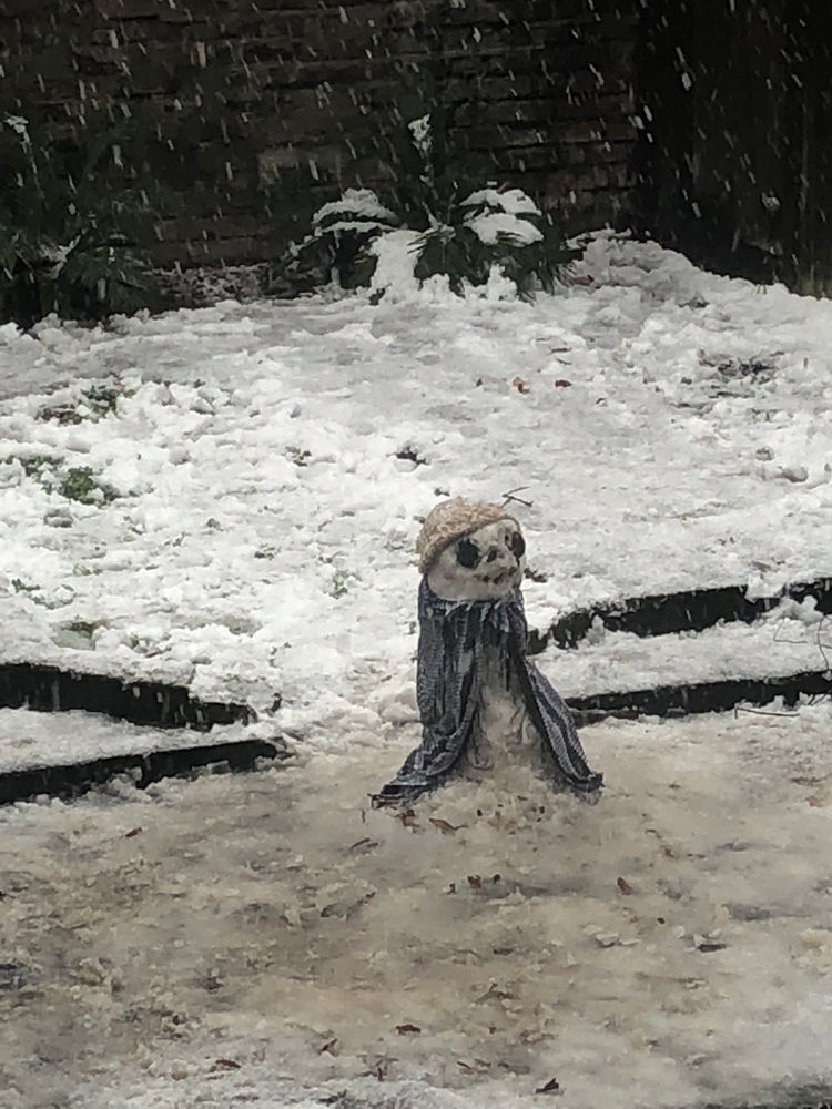 Freud, Phantoms And Psychic Phenomena