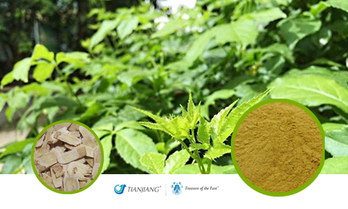 Siberian Ginseng Pure Extract - Ci Wu Jia - 1 kg / 2.2 lbs | www ...