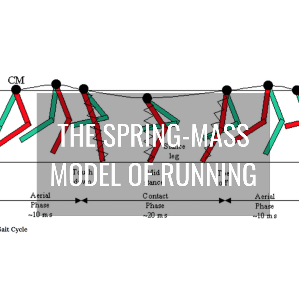 THE SPRING-MASS MODEL OF RUNNING