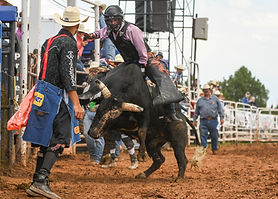 PRCA Rodeo 101 | Jubilee Days | Laramie, Wyoming