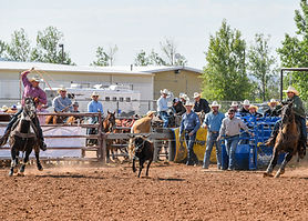 PRCA Rodeo 101 | Jubilee Days | Laramie, Wyoming