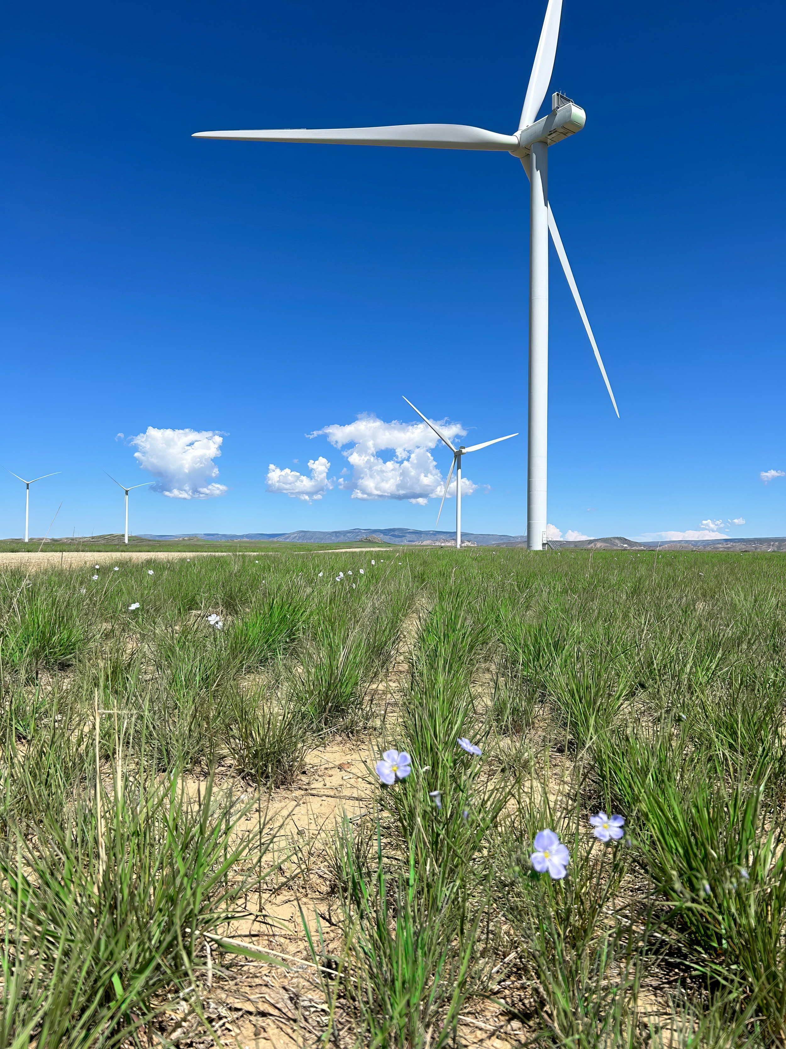 Rocky Mountain Reclamation | Revegetation and Erosion Control | Laramie ...