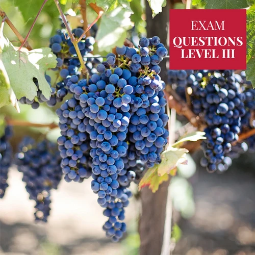 Exam Questions - WSET Level 3 - Essential practice questions for ...
