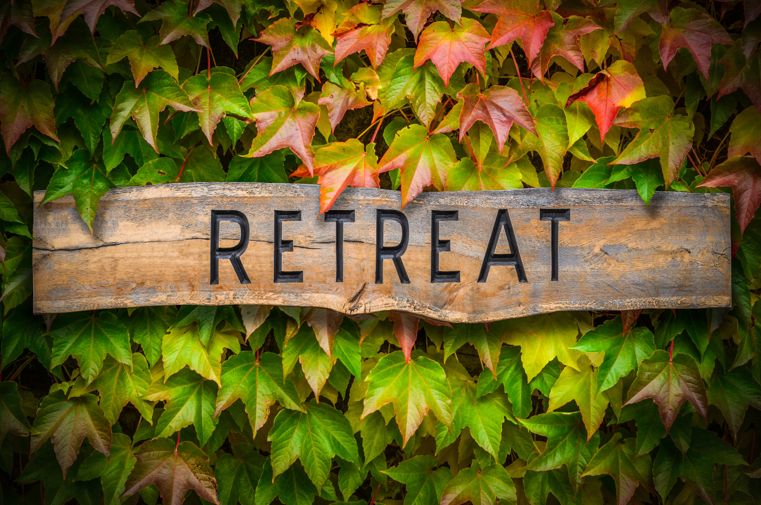 How to Host a Day Retreat Presentation | Lavender Health