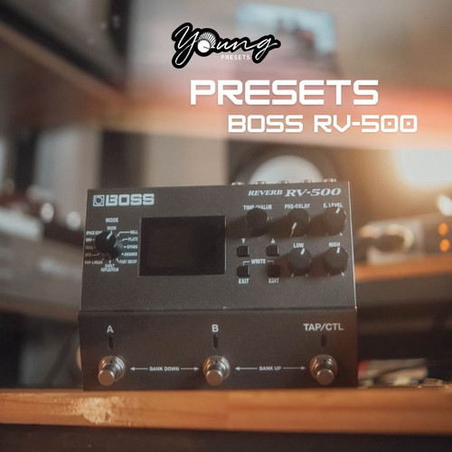 Presets Boss RV-500 | By. Young | Victor Young