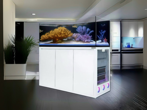 AQUA+ PRN-150 – Flagship Edition with Ultra-Slim Overflow | J&Y Aquariums