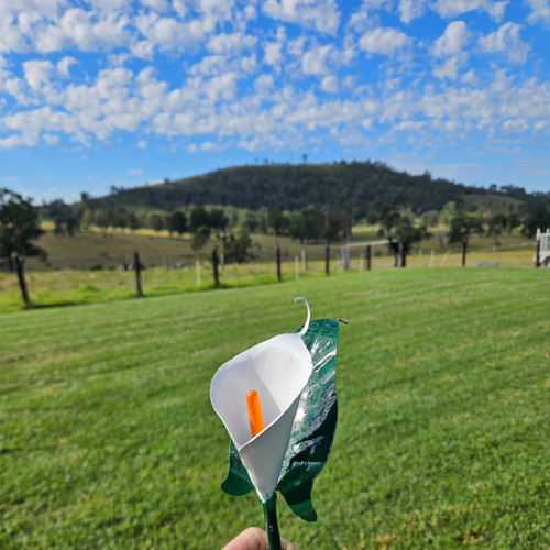 Irish Lily - Easter Lily | Rustic Touch