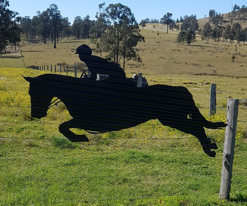 Show jumping horse | Rustic Touch