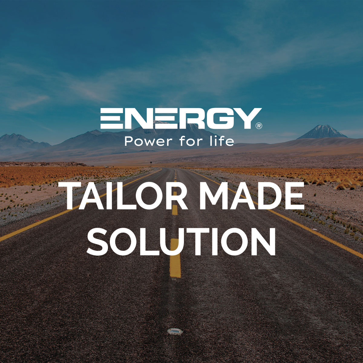 Power Generators for Tailor Made Solutions - Custom Solutions | Energy - Generating Sets and ...