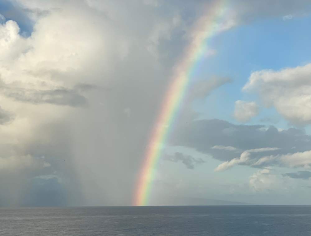 April Showers Bring Rainbows