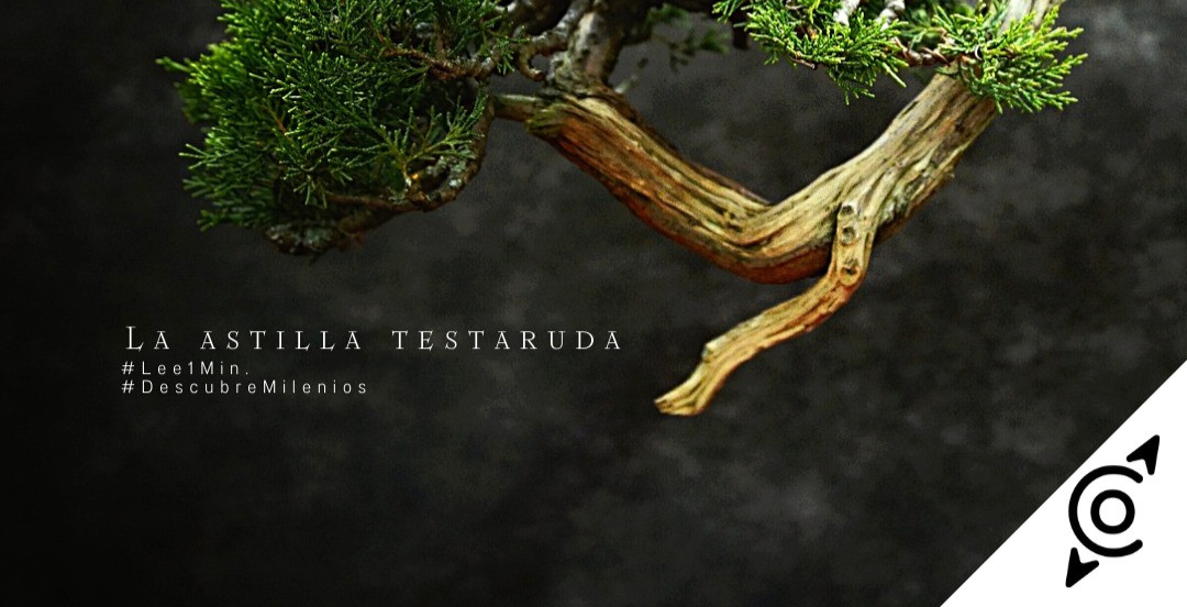 La astilla testaruda - Autor: Guillermo Beguerisse Hormaechea