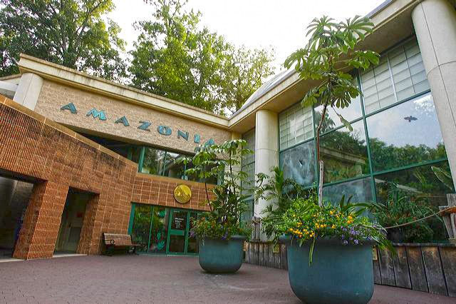 Private Tour of Amazonia Exhibit Life Support Systems National Zoo ...