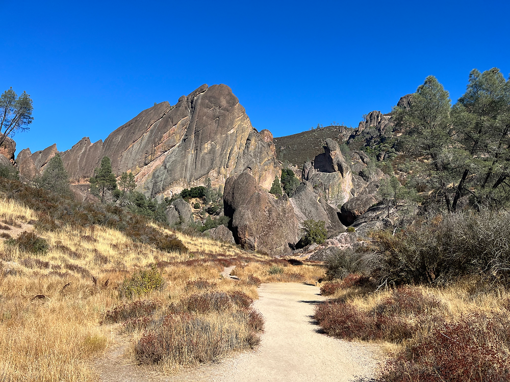 Trip 12, Park 1: Pinnacles National Park
