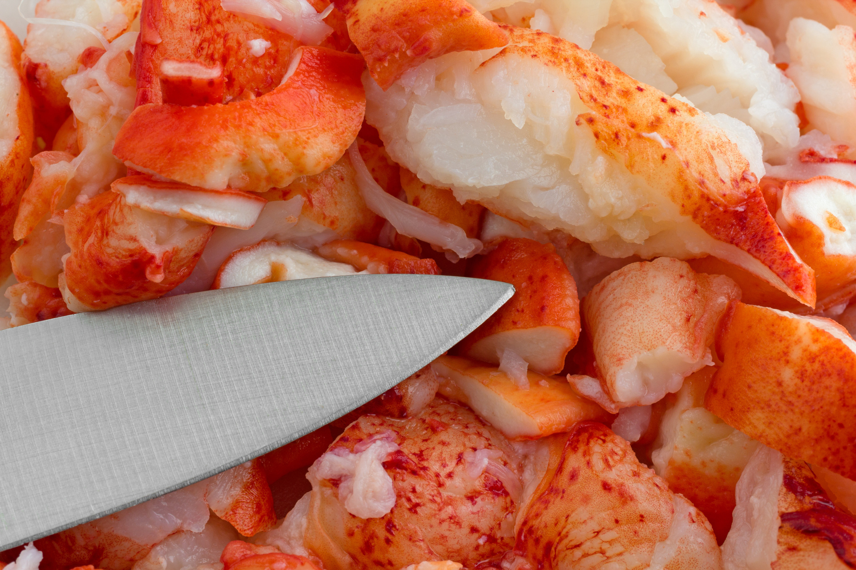 CKL Lobster Meat | Alliance Website